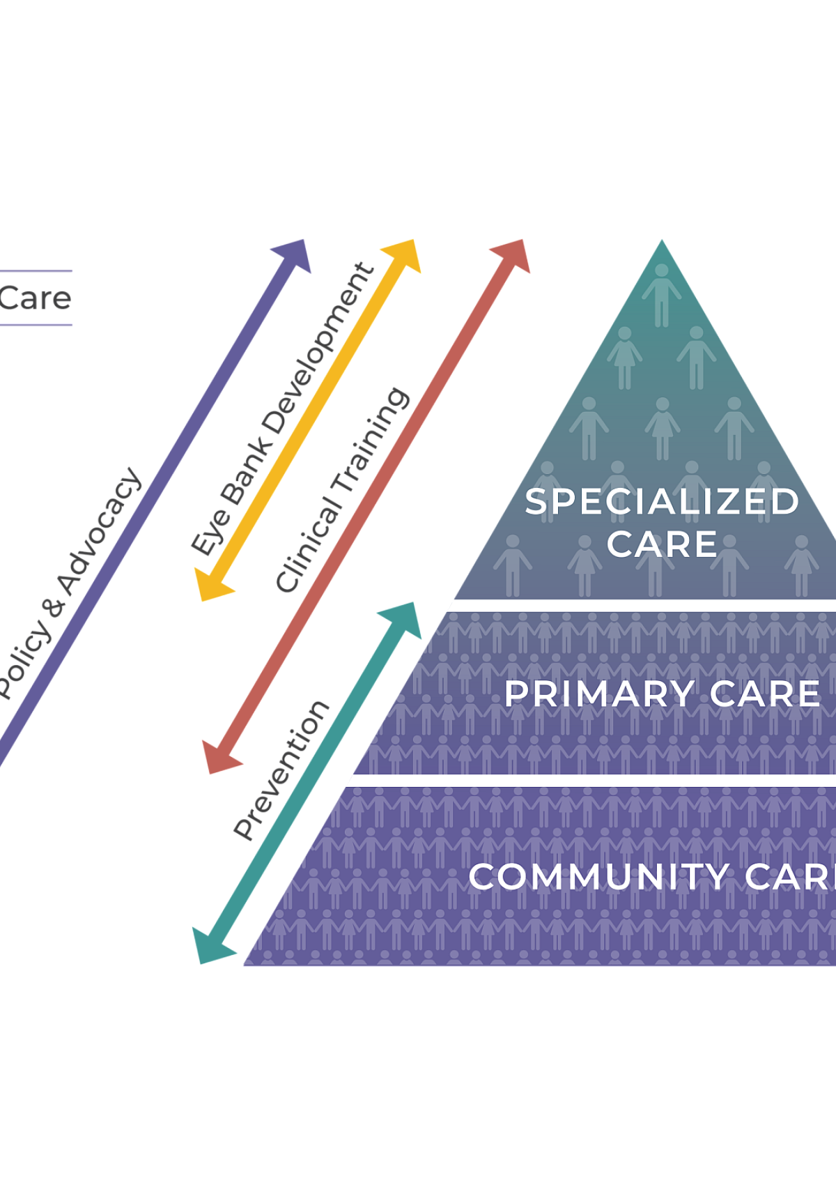 Cure Blindness Project works to prevent… | Cure Blindness Project
