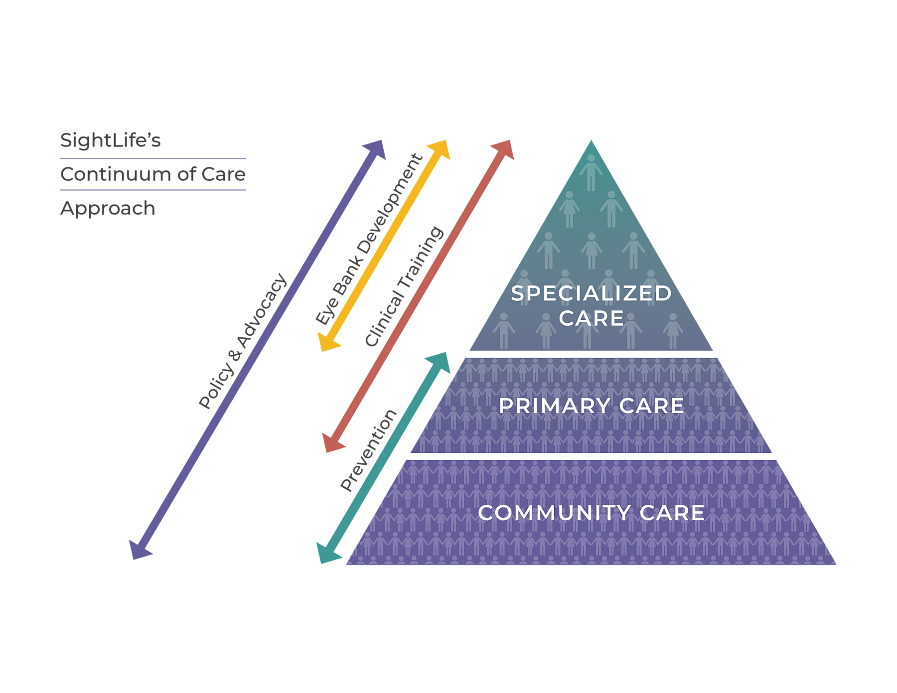 Cure Blindness Project works to prevent… | Cure Blindness Project