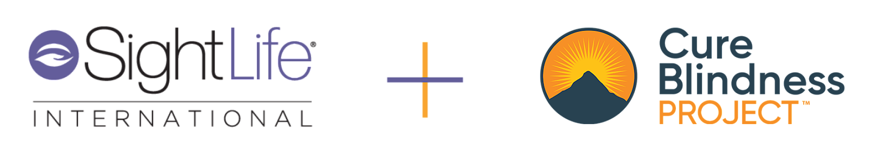 Cure Blindness Project works to prevent… | Cure Blindness Project