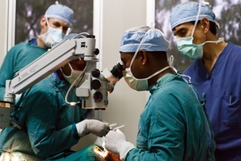 Our Model | Cure Blindness Project